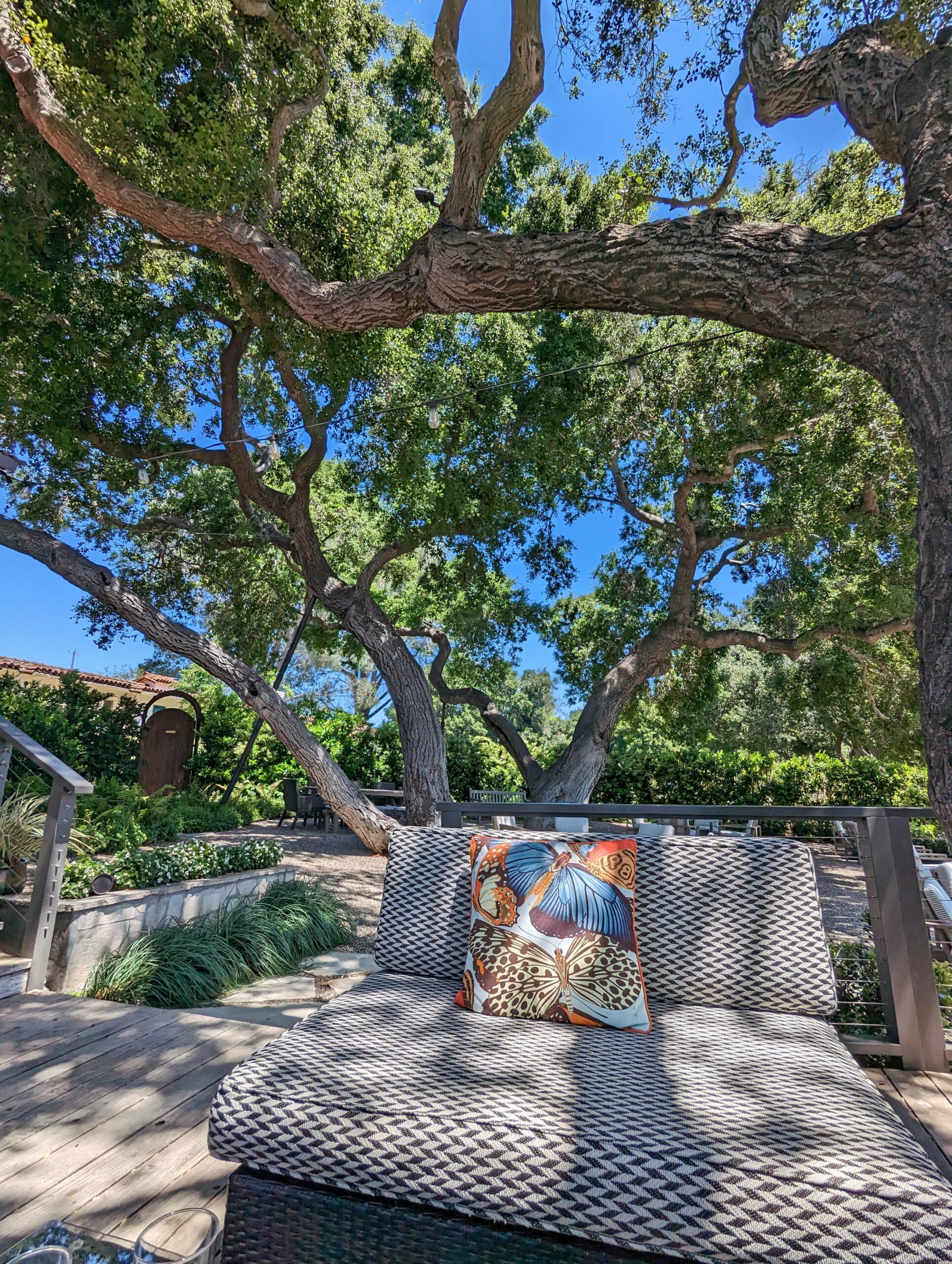 Sipping Through Paradise: An Exploration of Rusack Vineyards | Wine Bounty